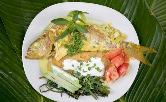 10 Must-Try Healthy Foods from Pacific Islands – Wynter's Wellness