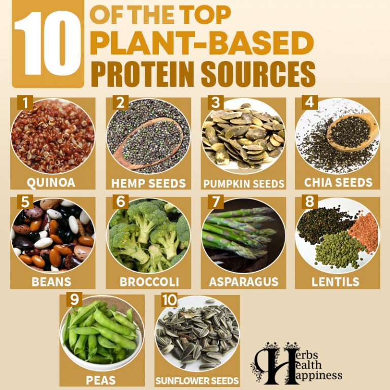 “Power Up Your Plate: 10 Plant-Based Protein Sources for a Healthy Diet ...