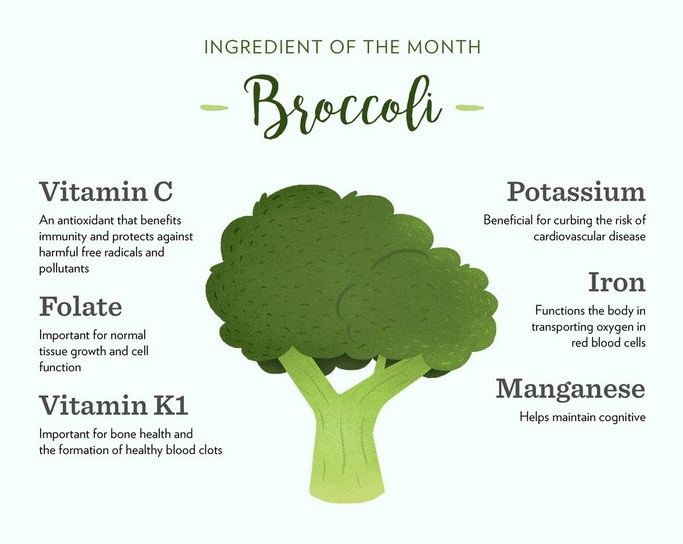Broccoli: The Secret to Radiant Skin – Wynter's Wellness
