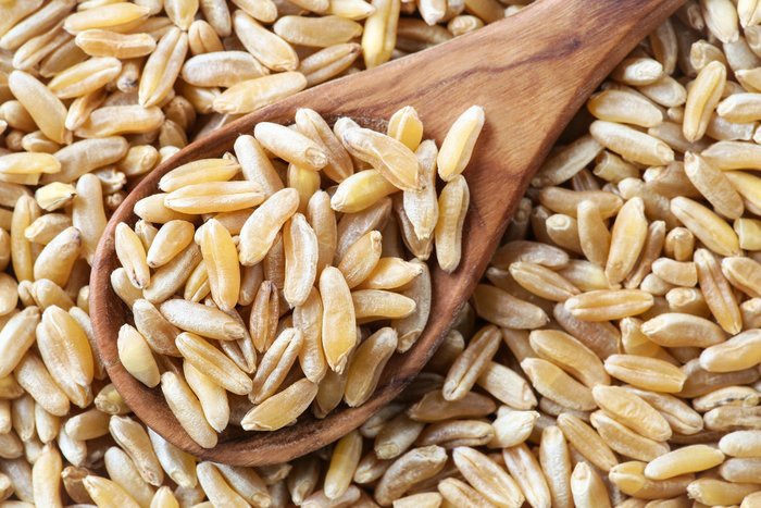 Kamut: The Ancient Grain with Modern Health Benefits – Wynter's Wellness