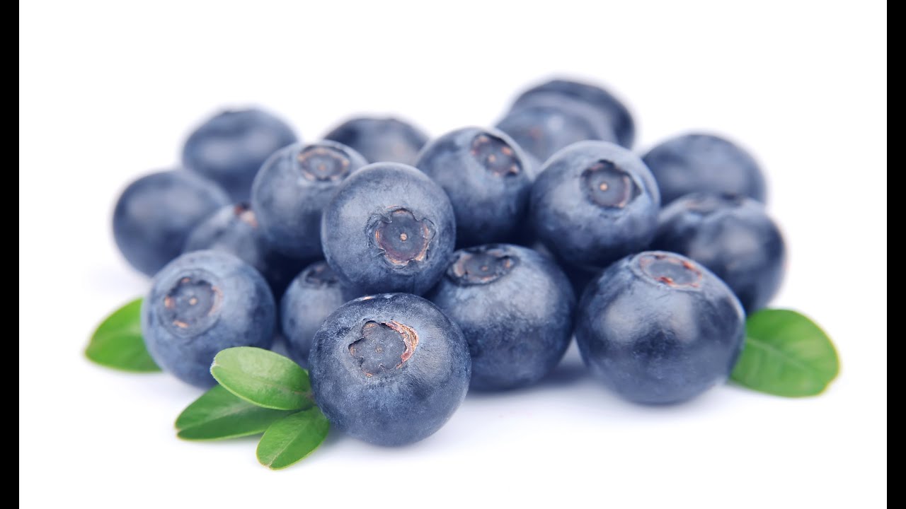 Blueberries: A Powerful Duo for Cancer Prevention – Wynter's Wellness