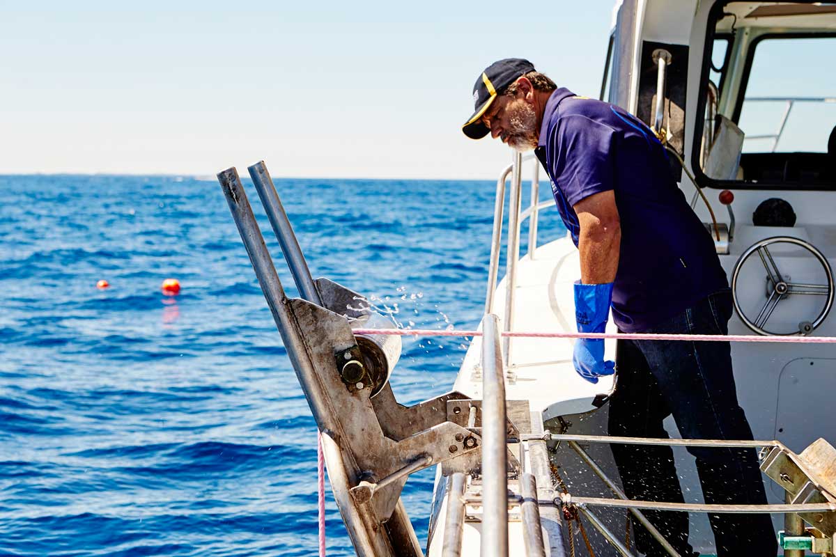 “Reeling in Sustainability: How Sustainable Fishing Practices Protect ...