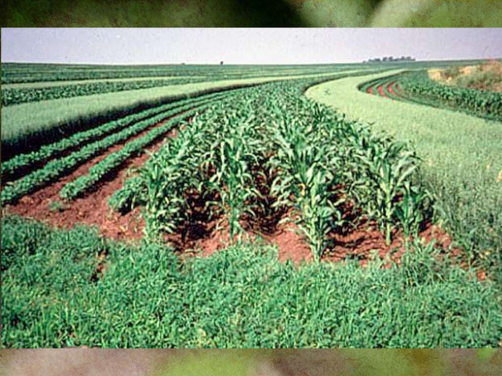 “15 Inspiring Examples of Agroecology: Sustainable Farming for Healthy ...