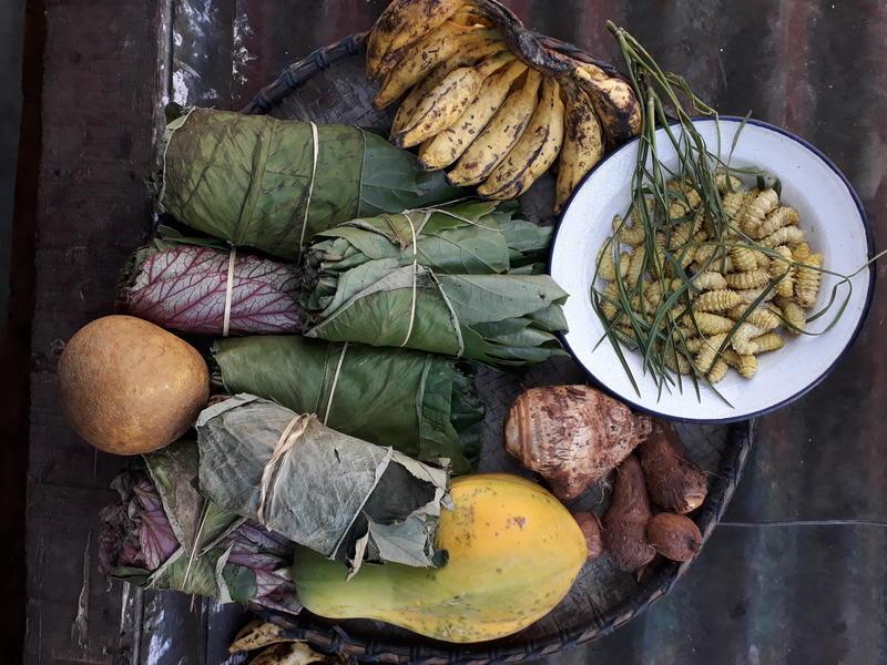 Indigenous Food Systems: Cultivating Health and Sustainability – Wynter ...