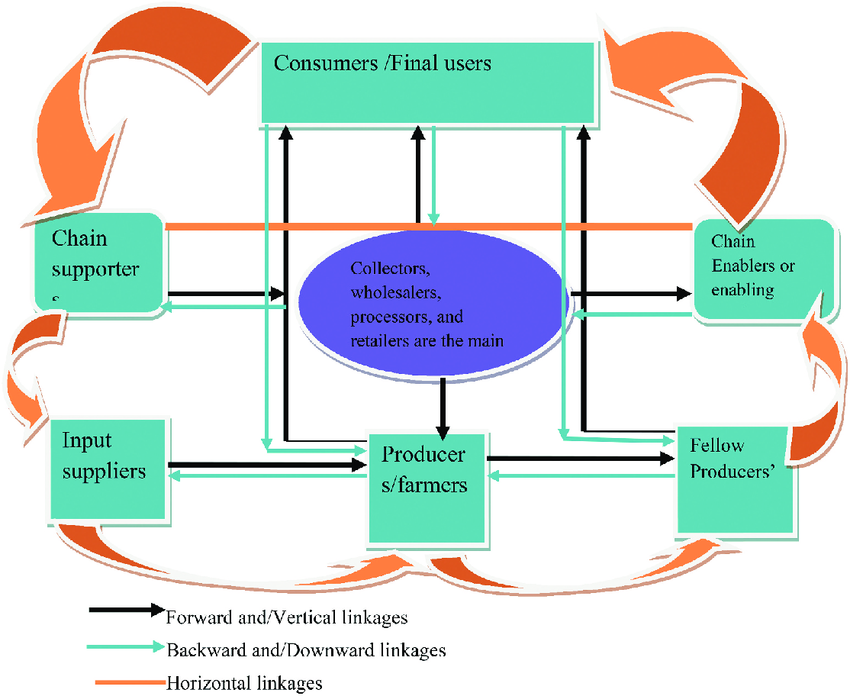 “Unlocking the Secrets of the Garlic Value Chain: From Farm to Table ...