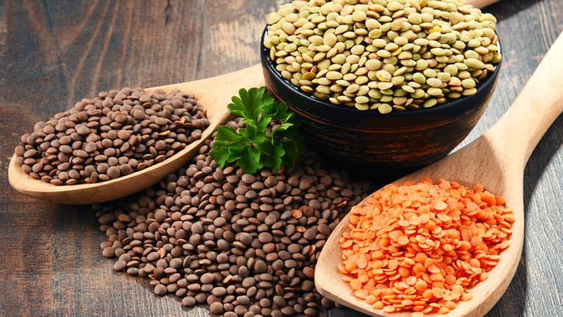 “Lentils: The Powerful Plant-Based Protein for Muscle Building ...