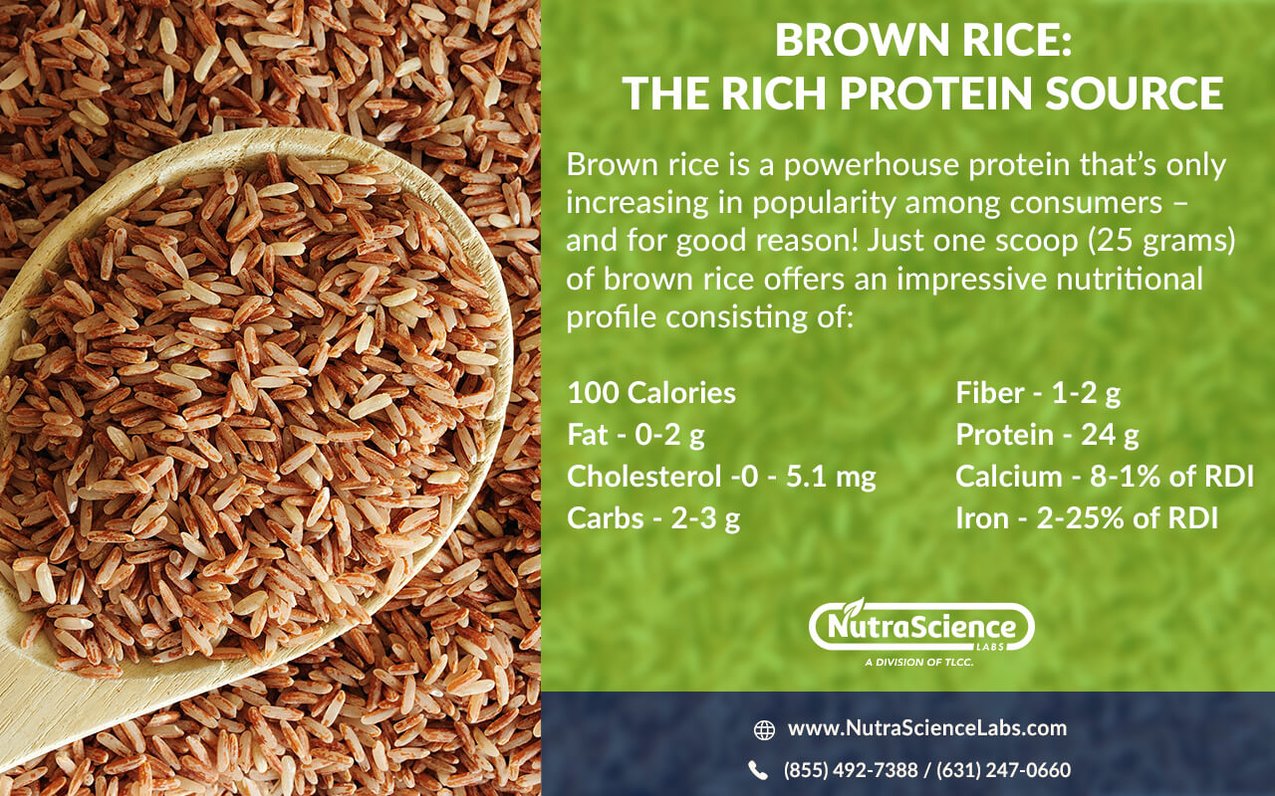 Unleashing the Power of Rice Protein: A Plant-Based Protein Source with ...